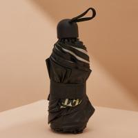 China Upgrade Your Umbrella Collection with this Customizable Chinese Wind and Rain Umbrella for sale