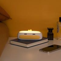 China Office Products Customized Big Mouth Duck Atmosphere Light with Sleeping Night Light for sale