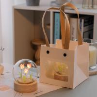 China Graduation Occasion Tulip Night Light Material Pack for March 8th Festival Event Gift for sale