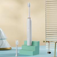 China Electric Toothbrush Set with Custom Logo Small Size 3 Brush Heads Silk Screen Printing for sale