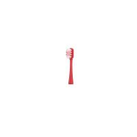 China Upgrade Your Oral Hygiene with Our Adult Electric Toothbrush Back to School Special for sale
