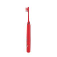 China Upgrade Your Oral Hygiene with Our Adult Electric Toothbrush Back to School Special for sale