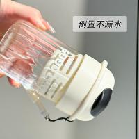 China Novelty Gifts 480ml Cute Portable Straw Water Cup High Appearance and Large Capacity for sale