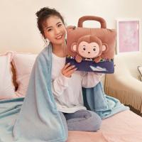 China Multifunctional Quilt and Cushion Perfect for Your B2B Marketing Needs for sale