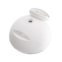 China Desktop USB Hydration Device Silk Screen Printed Year Xiaolongren Colorful Humidifier for sale