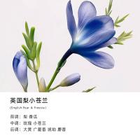 China Aromatherapy Candle and Acrylic Hand Gift The Must-Have for Long-Lasting Fragrance at Home for sale