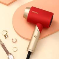 China Travel Agency's Must-Have Foldable and Portable Hair Dryer with Warm Wind Protection for sale