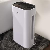 China Dual Purification Filtration Air Purifier Award for Company Activity and Father's Day for sale