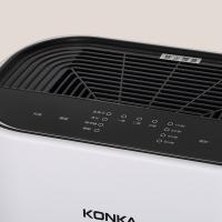 China Dual Purification Filtration Air Purifier Award for Company Activity and Father's Day for sale