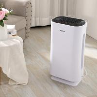 China Dual Purification Filtration Air Purifier Award for Company Activity and Father's Day for sale