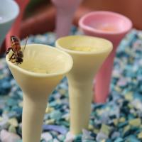 China Customized Color Bee Hummingbird Water Dispenser Feed Resin Feed Cup for Outdoor Garden for sale