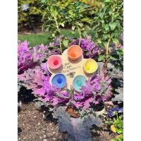 China Customized Color Bee Hummingbird Water Dispenser Feed Resin Feed Cup for Outdoor Garden for sale
