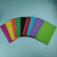 China Minimalist Notepad Set Solid Color Coil Design Multiple Colors and Paper for 2024 Gift for sale