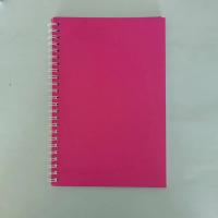 China Minimalist Notepad Set Solid Color Coil Design Multiple Colors and Paper for 2024 Gift for sale