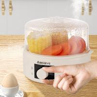 China Hotel and Resort Double Layer Egg Cooker Small Power Steamer for Household Dormitories for sale