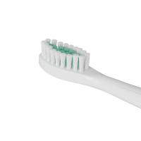 China Alumni Relations Toothbrush and Electric Toothbrush Set for Annual Conference Gift for sale