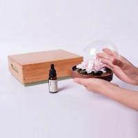 China 1 Color Printing Ceramic Flower Kneading Set with Bamboo Tray and Handbag Gift Box for sale