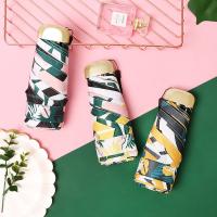 China Customized Color Small Fresh Vinyl Sunny and Rainy Pocket Umbrella for Exhibition Gifts for sale