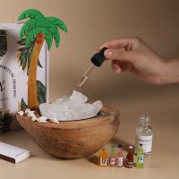 China Customer's Logo Coconut Shell Aromatherapy Candle Gift Box Summer Island Fragrance for sale
