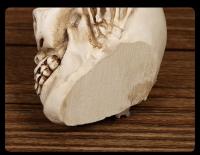 China Thanksgiving Skeleton Resin Decoration Desktop Decoration Candle Holder for Craft Gift for sale
