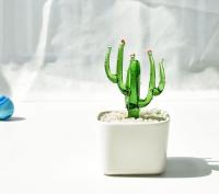 China Promotion Decorate Gifts Glass Ornaments for Succulent Cacti and Potted Plants for sale