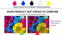 China 1000ml Pigment Ink TAIWAN DONGZHOU Compatible Led UV Curable Uv Sublimation Ink for sale