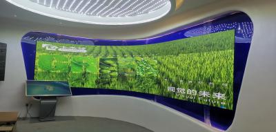 China Flexible Curved LED Display Screen for Shopping Mals, Bars, etc. for sale