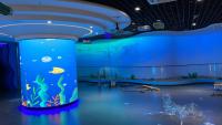 China High Flexibility Soft LED P3.91 Indoor Advertising Screen 1000nits for sale