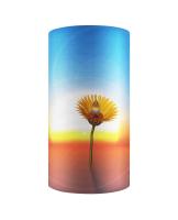 China P6 Rental LED Display Screen Flexible Outdoor Curved LED Screen For World Cup Billboard for sale