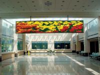 China P3 Nationstar LED Screen Display Indoor Fixed LED Display for Hospital Station Using for sale