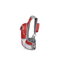 China Customized Lightweight Cycling Backpack Rucksack With Waist Strap 3 Compartment for sale