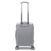 China 20'' 22'' Convenient Airline Baggage Cart Luggage Trolley For Airport for sale