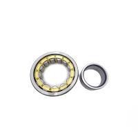 China NU NJ Single Row Cylindrical Roller Bearing NF1007 1008 1009 NJ207 35x72x17mm for sale