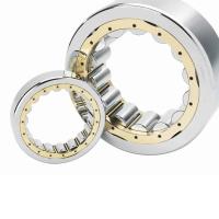China NF ECT Single Row Roller Bearing OEM Customized Electric Motor Bearing for sale