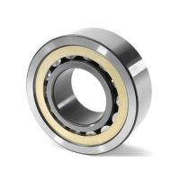China NF ECT Single Row Roller Bearing OEM Customized Electric Motor Bearing for sale