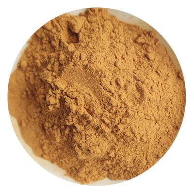 China Ginseng Leaf Extract(Total Ginsenoside: 75%～95% By UV ) Organic Herbal Extract Powder Free Sample for sale