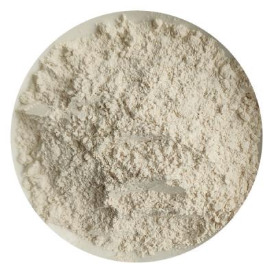 China Pure Natural Polygonum Cuspidatum Extract Powder Resveratrol 98% for sale