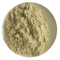 China Pure Natural Olive Leaf Extract Powder Oleuropein 50% for sale