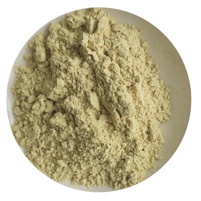 China Pure Natural Olive Leaf Extract Powder Oleuropein 50% for sale