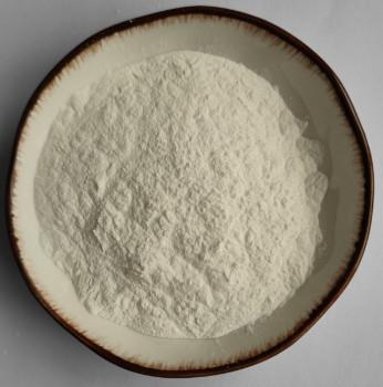 China Garlic Extract(Alliin,Allicin ) Organic Herbal Extract Powder Free Sample for sale