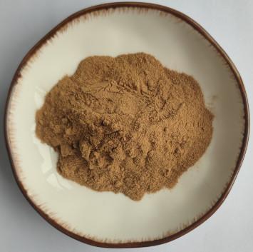 China Pure Natural Olive Leaf Extract Powder Hydroxytyrosol 30% for sale