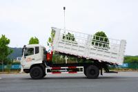 China Dongfeng 5.6m Flatbed Stake Body Dump Truck _ Single Axle High Side Stake Dump Truck _ 8-Ton Cargo Truck for Timber, Sugarcane and Grain Transportation for sale