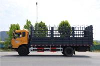 China 4×2 Yellow Flat Semi Cab Cargo Box Transport Truck - 260HP Yuchai 191kW Heavy Duty Logistics Delivery Truck - 6.8m Stake Body Truck Global Export for sale