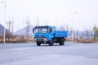 China 4×2 18 Ton Weichai WP6 Engine Heavy Duty Cargo Transport Truck for Africa Export for sale