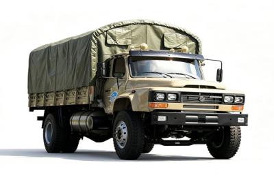 China Dongfeng 4×2 Off-road Cargo Truck with Foldable Seats, Export Version for sale