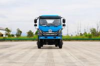 China 4x4 Flathead 150HP Light Truck Chassis Export Version for sale