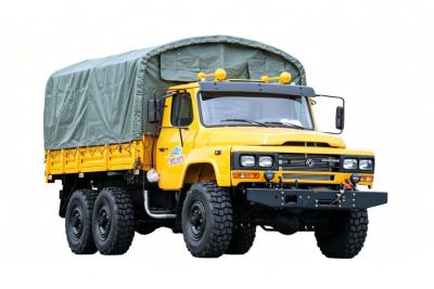 China Dongfeng EQ240 170HP 6x6 Off-road Cargo Truck for Export to Africa & Southeast Asia| EQ3251GP6 for sale