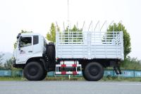 China 4x4 High Side Cargo Truck with 256HP Diesel Engine | For Export for sale