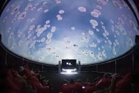 China 4D 9D VR Dome Cinema with Motion Seats for Theme Parks for sale