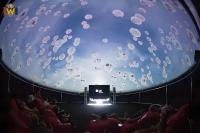 China VR Dome Cinema 4D Flying Theater with Curved Screen and Motion Seats for sale